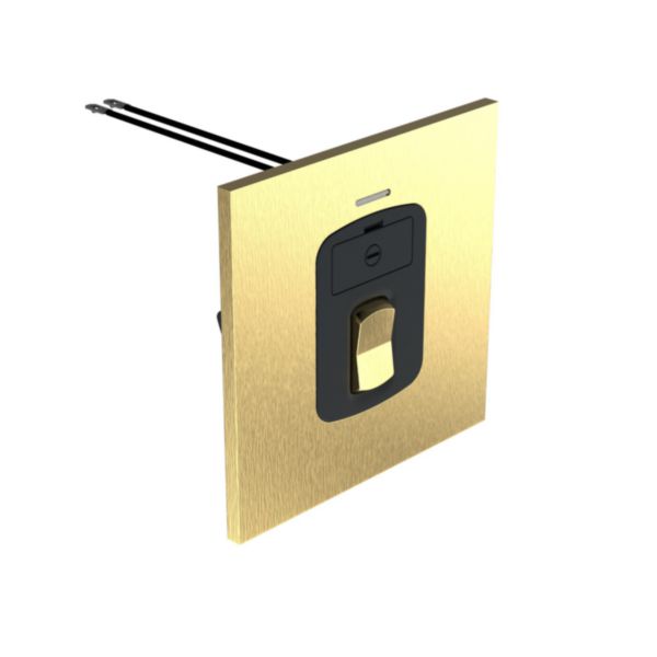 Art d'Arnould - 1 gang fused connection unit 13A-250V W/ power indicator Epure - Brushed Gold ...