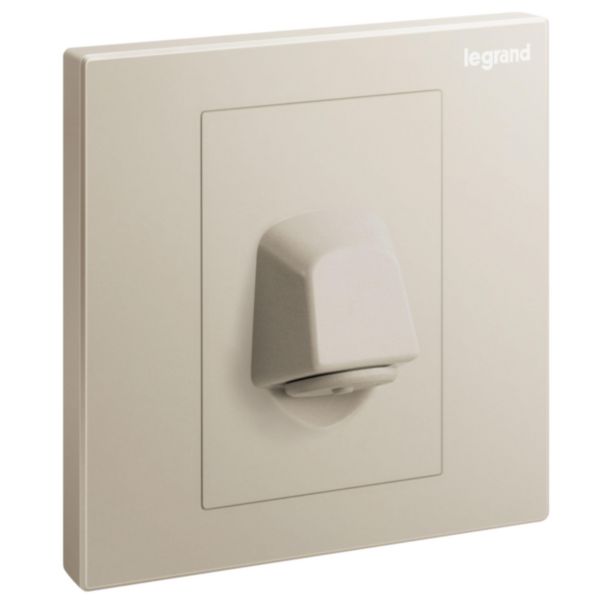 Galion - 1 gang cable outlet - 20A - Champagne | 282452-C2 ...